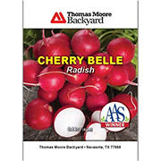 Thomas Moore Backyard Super Sweet 100 Cherry Tomato Seed Packet - Shop ...