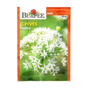 Burpee Sweet Basil Seeds - Shop Patio & Outdoor at H-E-B
