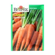 Burpee Danvers 126 Carrot Vegetable Seed Packet - Shop Patio & Outdoor ...