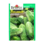 Burpee Picklebush Pickling Cucumber Vegetable Seeds - Shop Patio ...
