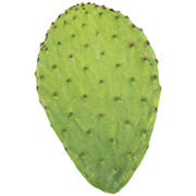 Fresh Chopped Nopalitos - Shop Vegetables at H-E-B