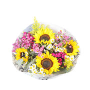 BLOOMS by H-E-B White Hydrangeas - Shop Flowers & Gift Baskets at H-E-B