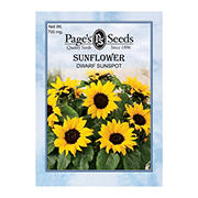 Page's Seeds Dwarf Sunspot Sunflower Seed Packet - Shop Patio & Outdoor ...