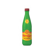 Topo Chico Twist of Grapefruit Sparkling Mineral Water - Shop Water at H-E-B