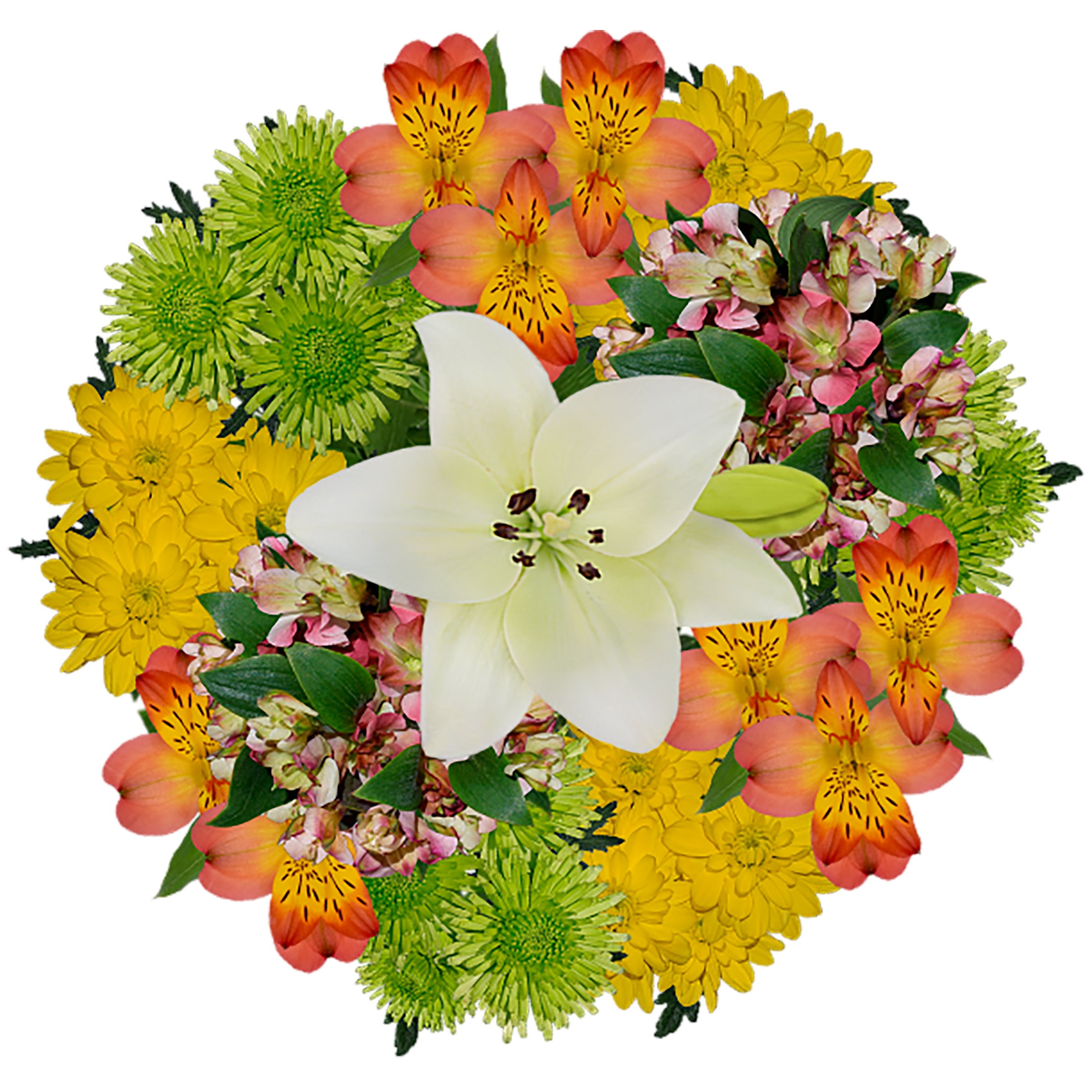 Heb Flowers Hours | Best Flower Site